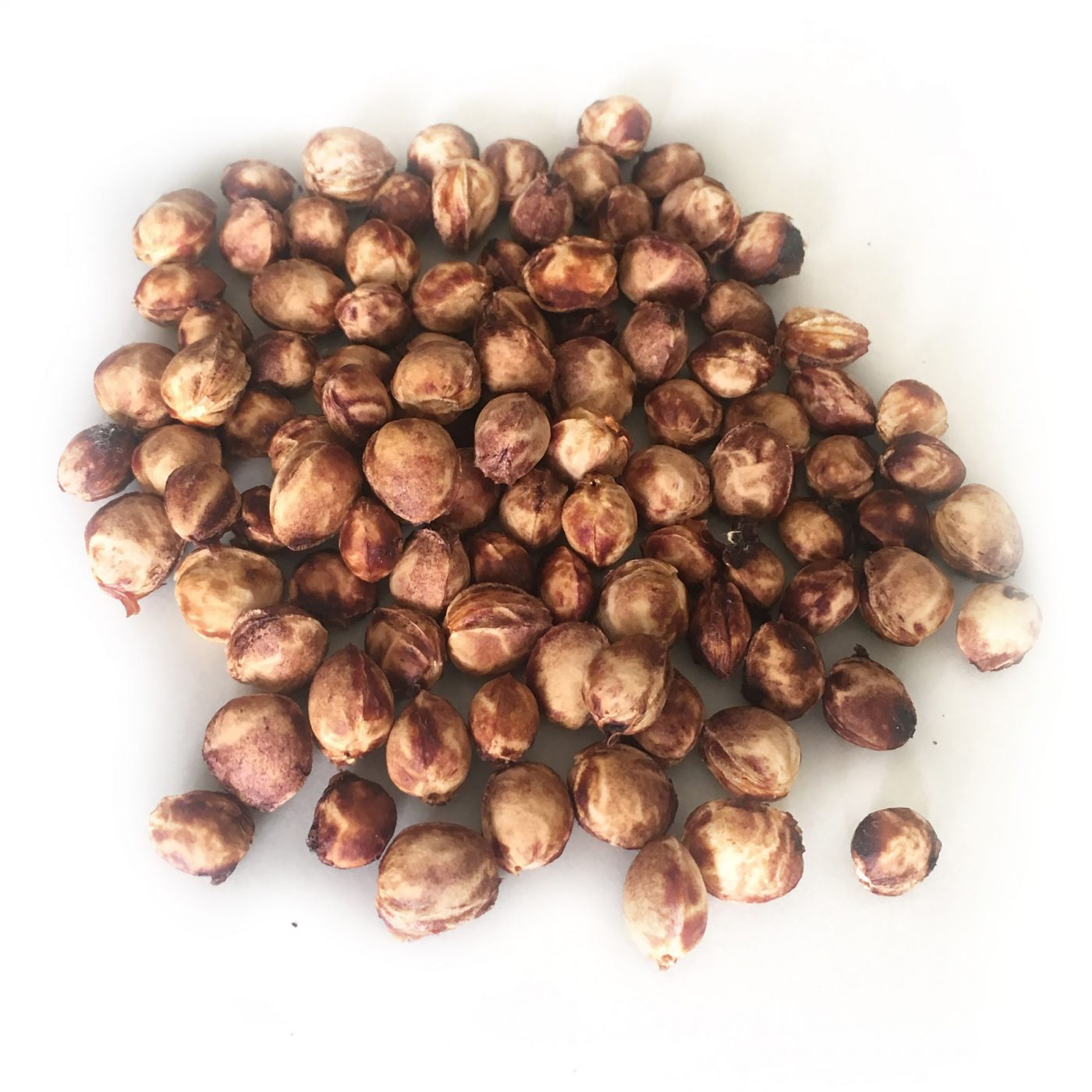 Charred fruit pits and nut shells - Burgundian Black